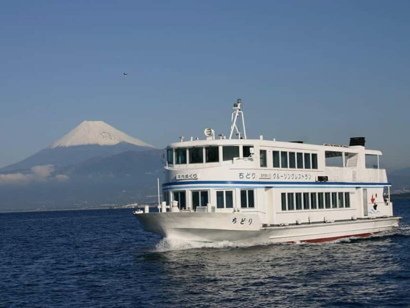 From Tokyo: Numazu Port and Gotemba Outlets Day Tour - The Return Journey and Optional Dinner