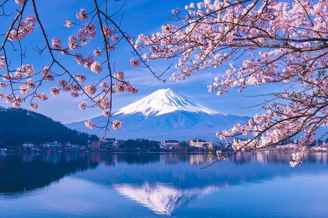 From Tokyo: Visit Mt. Fuji 5th Station, Arrive in Kawaguchiko - Who should consider this tour?