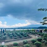 From Tokyo:Mount Fuji private day tour with English driver - Deep Dive into Each Stop