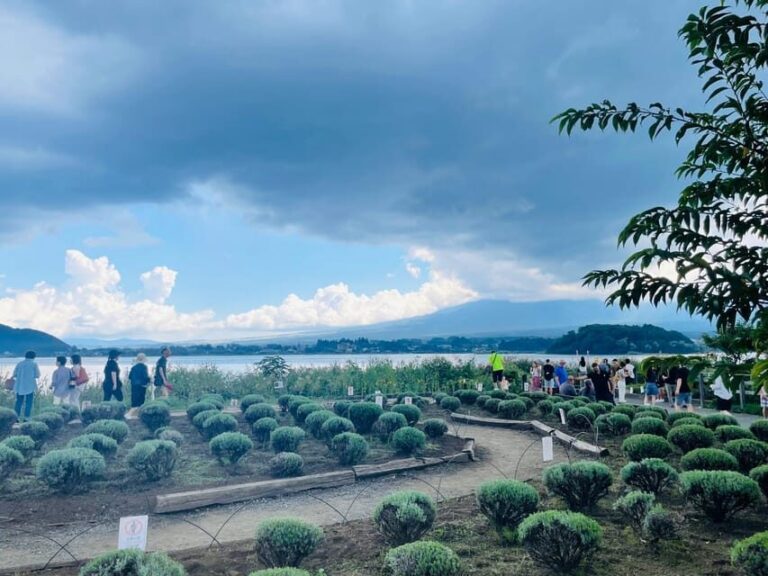 From Tokyo:Mount Fuji private day tour with English driver - Deep Dive into Each Stop