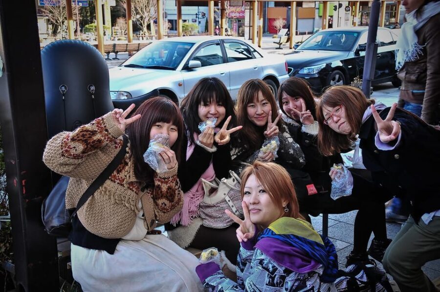 From Tokyo:Private Nikko World Heritage Site Day Tour by Car - Who Will Love This Tour?