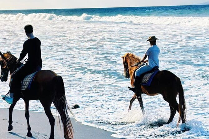 From Ubud 1 Hour Horse Riding at The Beach Experiences - Detailed Breakdown of the Experience