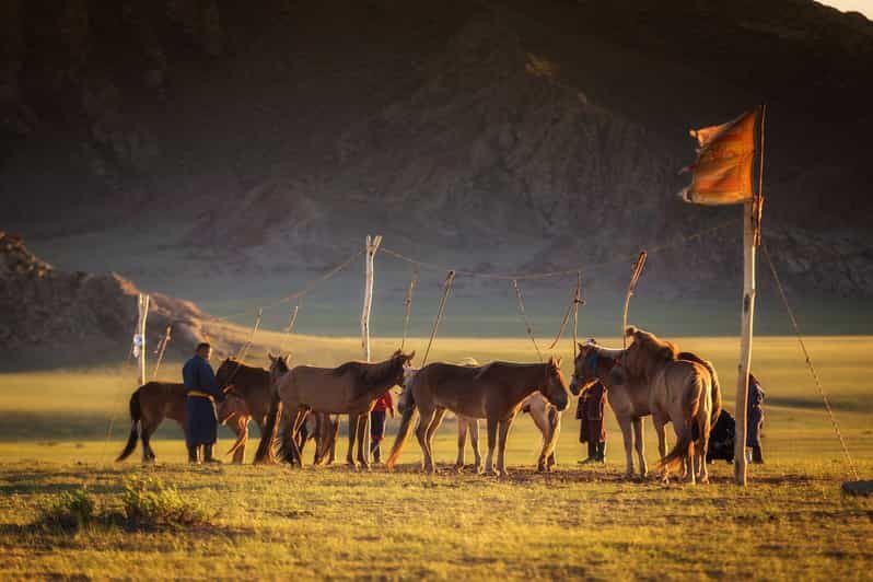 From Ulaanbaatar: Day Trip to Hustai National Park - Who Will Love This Tour?