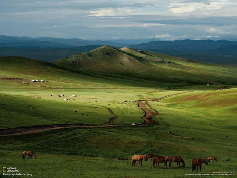 From Ulaanbaatar: Mongolian Culture & Landscapes 10 Day Tour - The Practicalities and Value