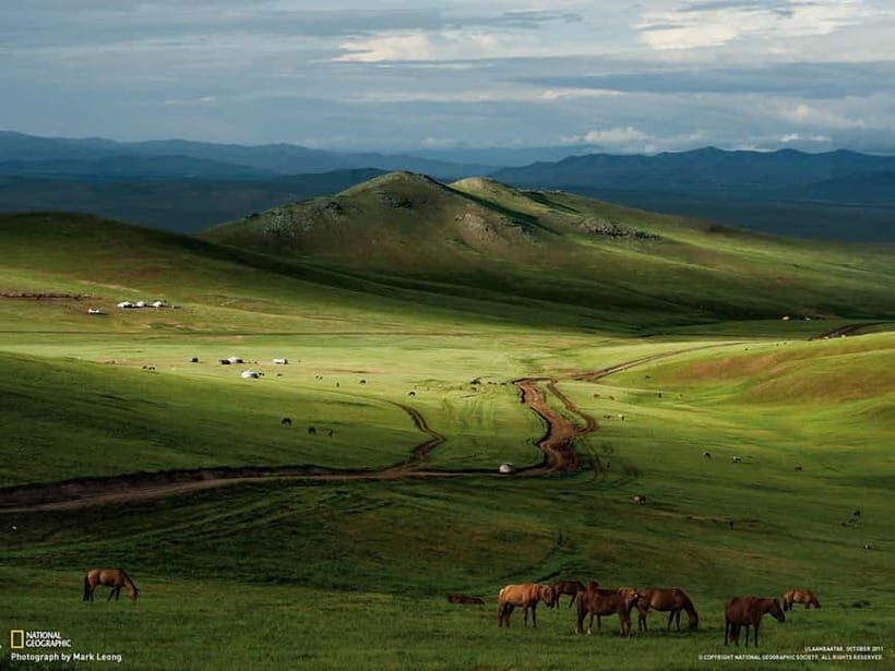 From Ulaanbaatar: Mongolian Culture & Landscapes 10 Day Tour - The Practicalities and Value