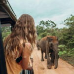 From:Mirissa/Galle/Hilkaduwa with Udawalawe safari - Practical Tips for Making the Most of Your Safari