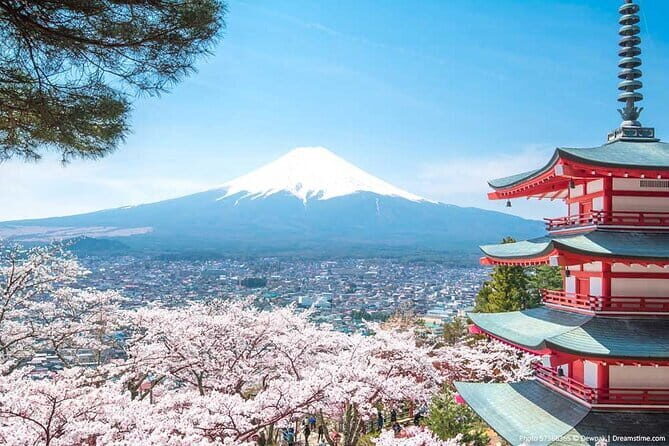 Fuji and Lake Kawaguchi Tour - Authentic Insights from Travelers