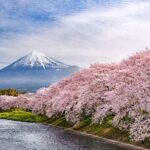 Fuji Yoshiwara Gion Festival Twilight E-Bike Tour (Two Days only) - Practical Details and What They Mean for You