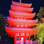 Fukuoka Cultural Walk: Castle, Shrines, Temples & Tales - A Deep Dive into Fukuoka Cultural Walk