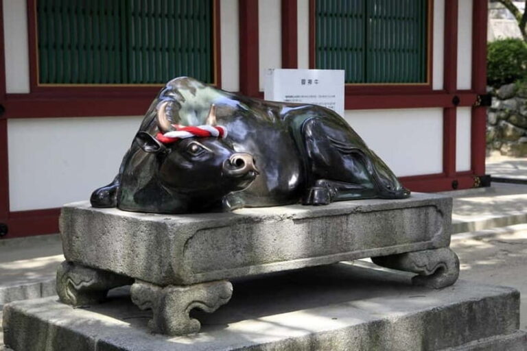 Fukuoka: Dazaifu Tenmangu 2-hour Guided Tour - Value and Practical Considerations
