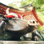 Fukuoka: Dazaifu, Yame, and Yanagawa Private Day Trip - Deep Dive into Each Stop