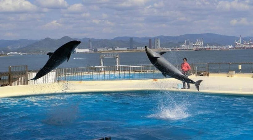 Fukuoka: Hakozaki Shrine, Tocho-ji Temple, & Ohori Park Tour - What Travelers Say About This Tour