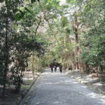Fukuoka: Munakata Taisha Shrine Guided Tour  UNESCO Site - Who Should Take This Tour?