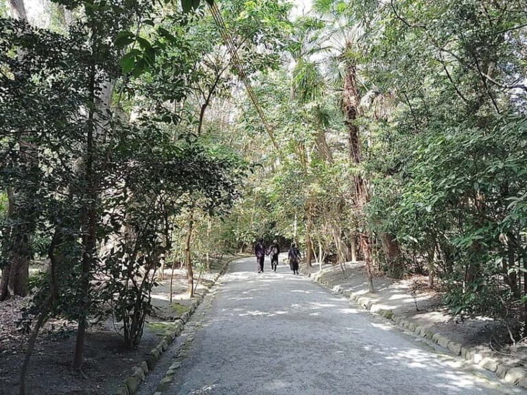 Fukuoka: Munakata Taisha Shrine Guided Tour  UNESCO Site - Who Should Take This Tour?