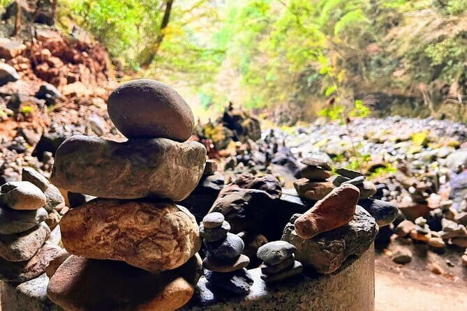 Fukuoka to Takachiho Shrine Tour with Optional Beef Lunch - Transportation and Group Dynamics