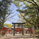 Fukuokas Sacred Path: Temples, History & Culture - A Deep Dive Into Fukuoka’s Sacred Path Experience