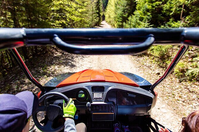 Full-Day 4-Seater Can-Am Commander Max UTV Rental - What makes this UTV experience unique?