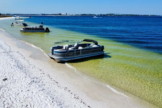 Full Day 60HP Pontoon Rental to Shell Island - What Travelers Are Saying and Why It Matters