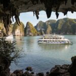 Full-day Activity Ha Long Bay of Vietnam from Ninh Binh - Visiting Titop Island: Beach and Panorama