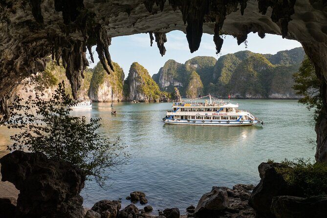 Full-day Activity Ha Long Bay of Vietnam from Ninh Binh - Visiting Titop Island: Beach and Panorama