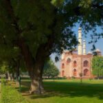 Full Day Agra tour with cultural and fun activities from Delhi by Car - The Value of This Tour: Is It Worth It?