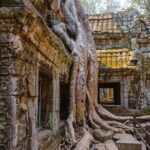 Full-Day Angkor Wat Sunrise Private Tour from Siem Reap - The Practical Side: Timing, Transport, and Group Size