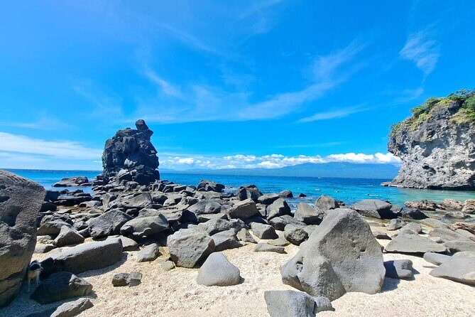 Full Day Apo Island Tour from Dumaguete - The Authentic Touch: Reviews from Travelers