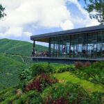 Full Day Cameron Highlands Nature Tour - Who Is This Tour Best For?