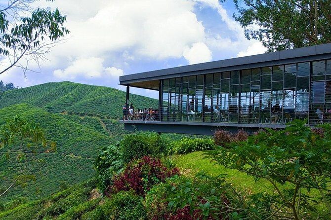 Full Day Cameron Highlands Nature Tour - Who Is This Tour Best For?
