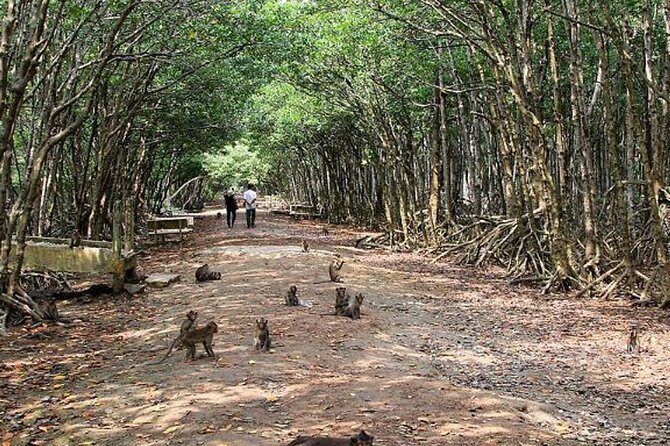 Full-Day Can Gio Mangrove Private Guided Forest Exploration - Frequently Asked Questions