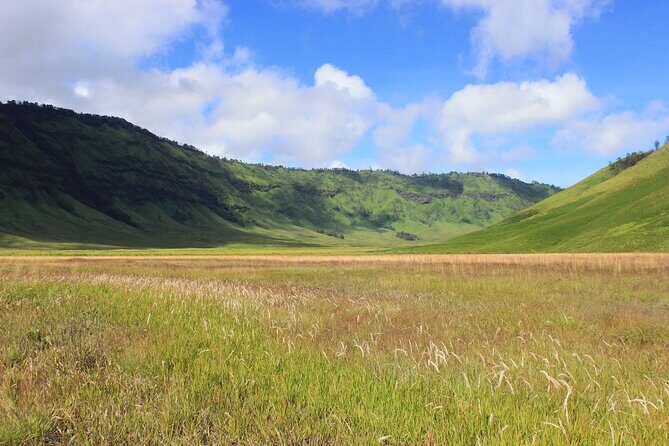 Full Day Comfort Private Bromo Tour - Practical Considerations for Travelers