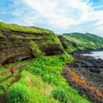 Full Day Customizable Jeju Private Tour with licensed tour guide - Transportation and Comfort