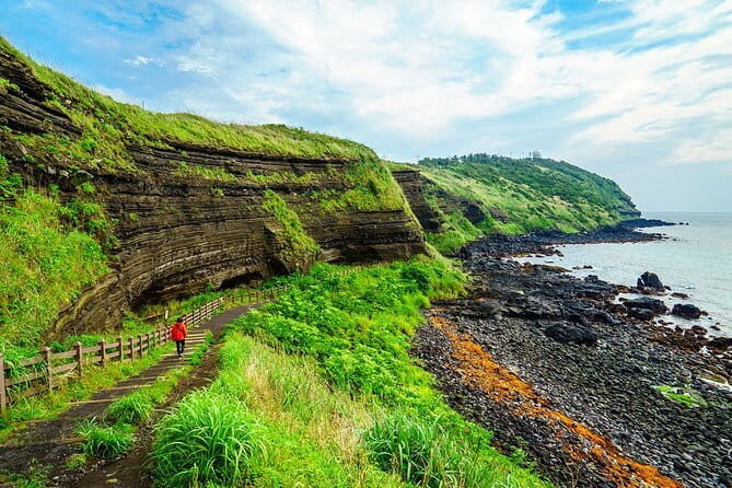 Full Day Customizable Jeju Private Tour with licensed tour guide - Transportation and Comfort