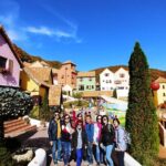 Full-Day Customizable Private Tour to Nami Island and surrounding Area - Why This Tour Offers Good Value