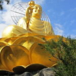 Full day Dalat cultural tour - Practical Details & Value