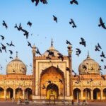 Full day Delhi tour with a Local - Private Delhi Day Tour - Why This Tour Works: Discovering Delhi’s Essential Sights