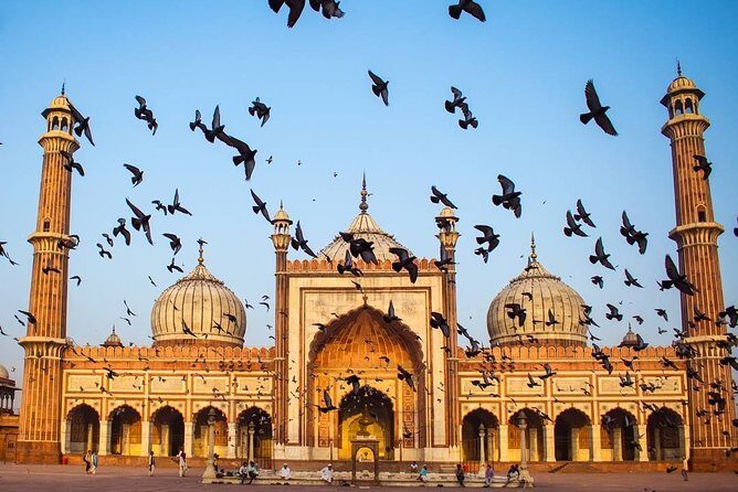 Full day Delhi tour with a Local - Private Delhi Day Tour - Why This Tour Works: Discovering Delhi’s Essential Sights