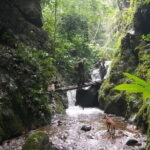 Full Day Doi Saket Hiking Tour - What to Expect from the Doi Saket Hiking Tour