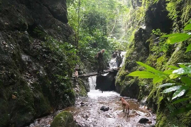 Full Day Doi Saket Hiking Tour - What to Expect from the Doi Saket Hiking Tour