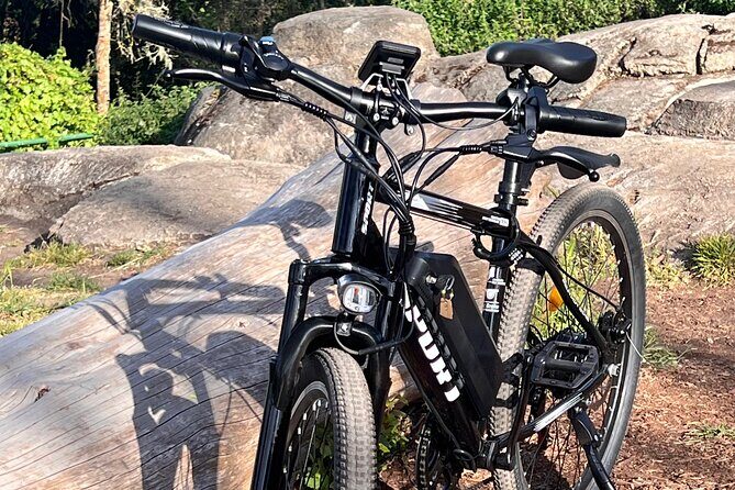 Full Day E-Bike Rental in San Francisco Charger Included! - Pros and Cons: An Honest Look