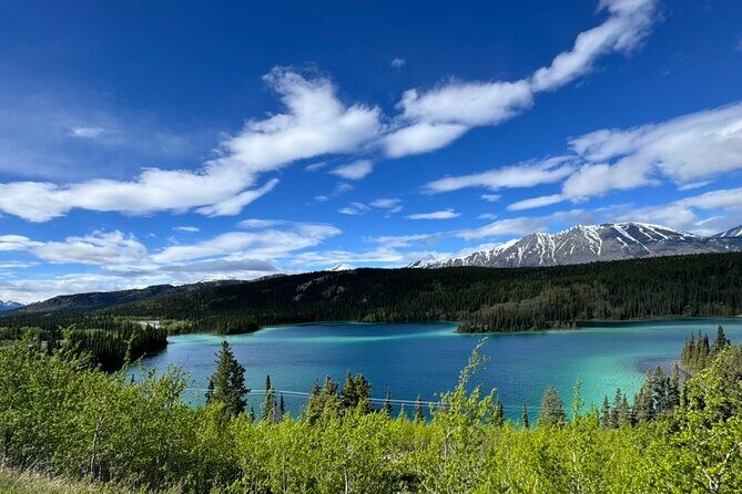 Full Day Emerald Lake Tour with or without Huskies - Wildlife & Scenery: The Heart of the Tour