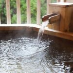 Full-Day Enoura Observatory and Hakone Hot Spring Private Tour - The Authentic Experience: Beyond the Itinerary