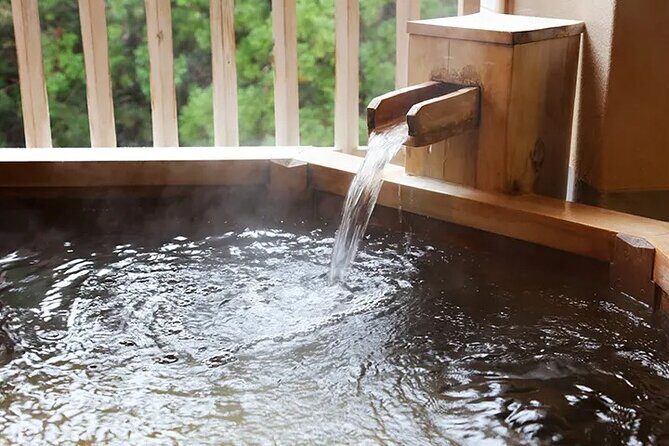 Full-Day Enoura Observatory and Hakone Hot Spring Private Tour - The Authentic Experience: Beyond the Itinerary