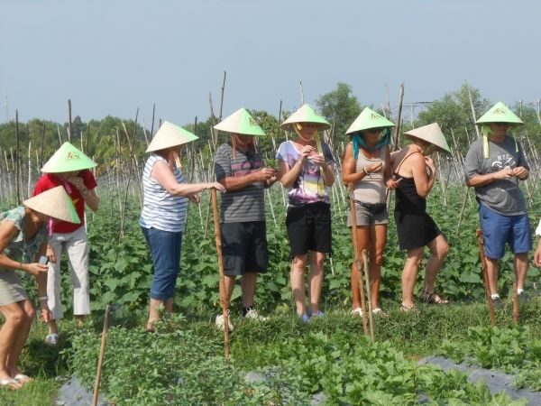 Full-Day Farming & Cooking class at Agricultural Village - Authentic Experiences and Honest Feedback