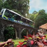 Full Day Flexi Private Tour in Penang Island with Pickup - Timing and Pace