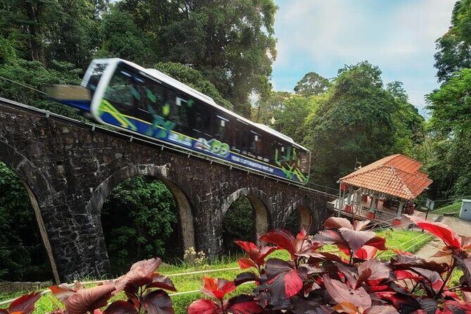 Full Day Flexi Private Tour in Penang Island with Pickup - Timing and Pace