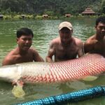 Full-Day Freshwater Lake Resort Fishing in Phang Nga - An Overview of What to Expect