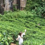 Full-Day Galle or Kandy Private Tour with an Expert Driver-Guide - Practical Aspects and What They Mean for You