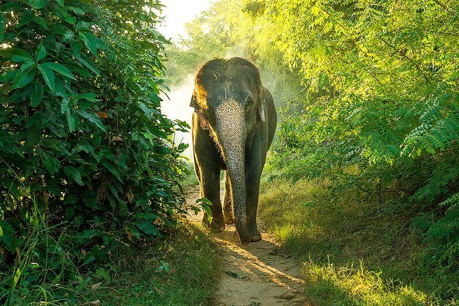 Full day game drive at Bundala National Park with Picnic Lunch - Final Thoughts