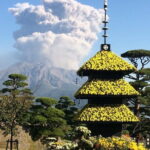 Full-Day Gastronomic Kagoshima Adventure by Private Vehicle - Practical Details and What It Means for You